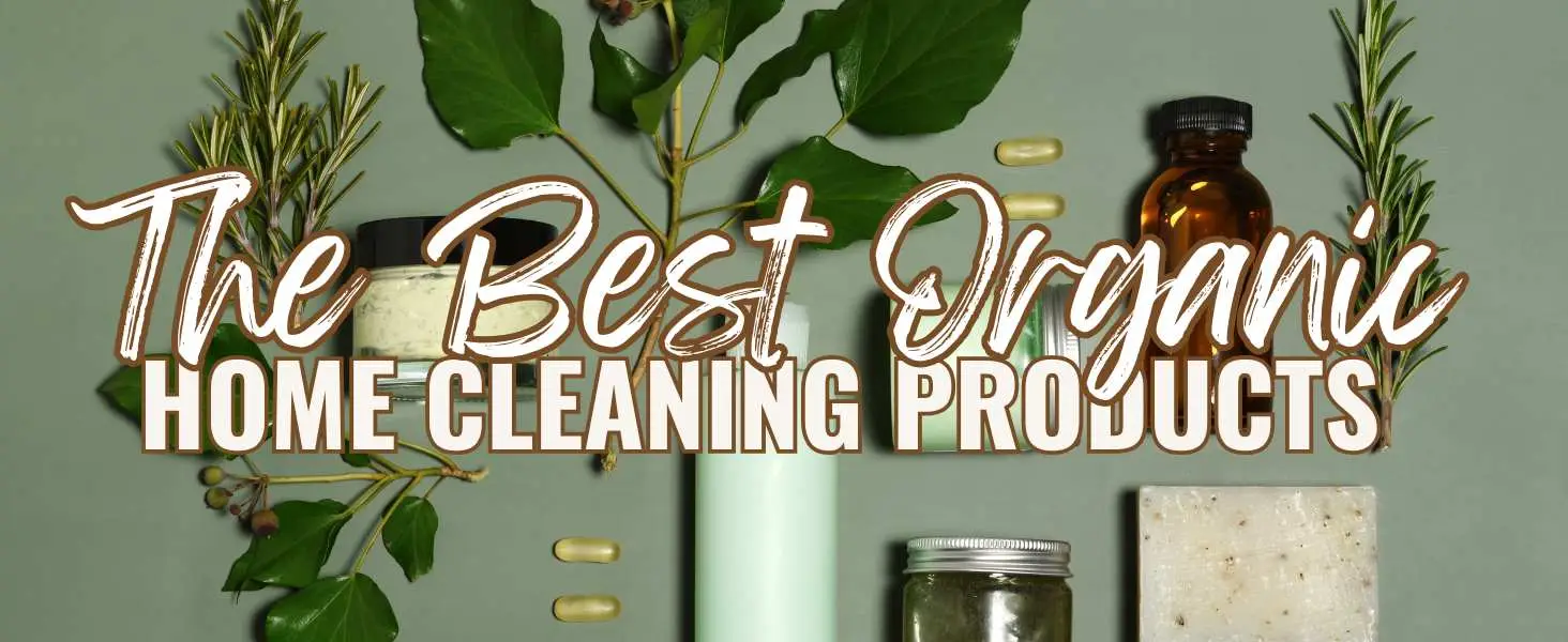 Top 10 Non-Toxic Cleaning Solutions